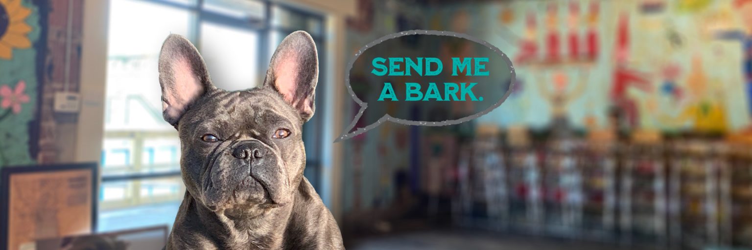 Contact Us - Hop Hounds