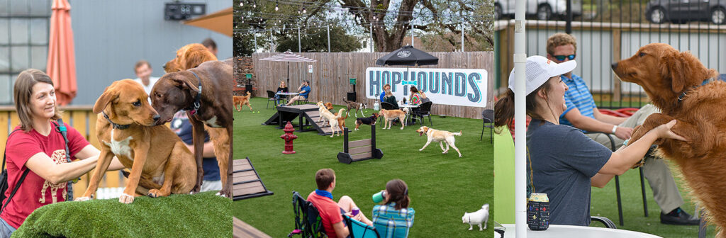 Playground - Hop Hounds